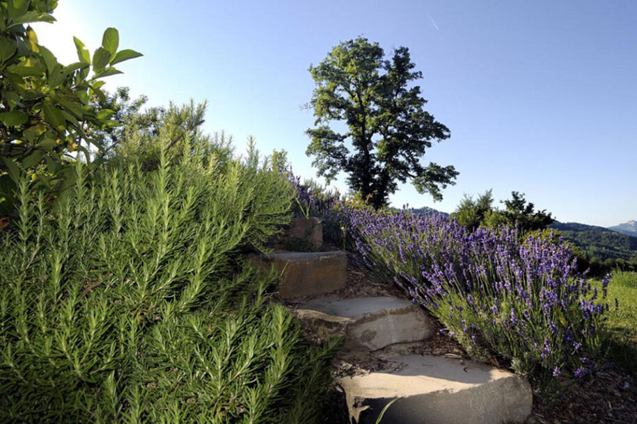 Camera Alba – Lodole Country House